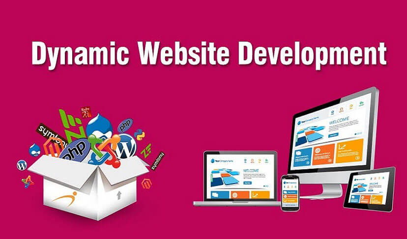 Dynamic Website Development - Win Infosoft Dynamic Website Development - Win Infosoft