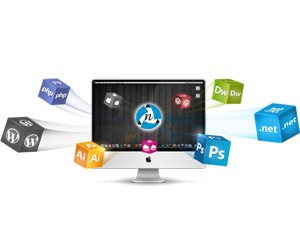 Wininfosoft Web Development, Mobile App Development, SEO Company